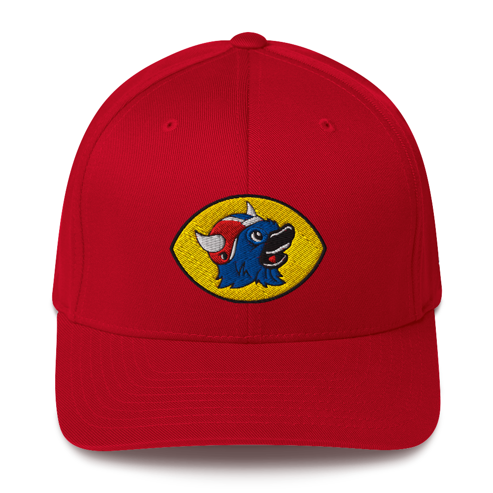 "Buff-ee's" Flexfit Structured Twill Cap (multiple color options) – 26 ...